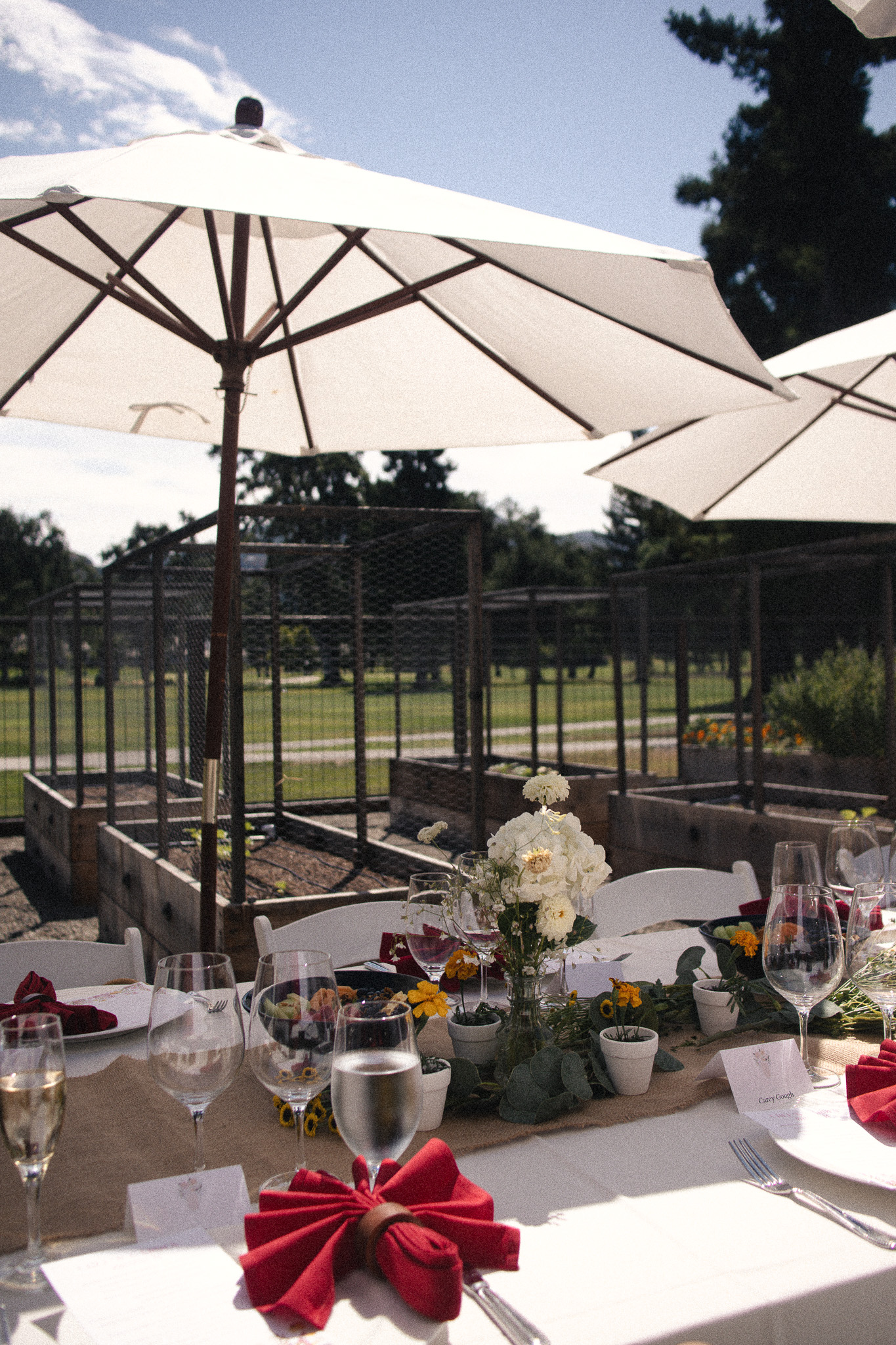 An Unforgettable Napa Valley Experience: The Chef's Garden Brunch at ...